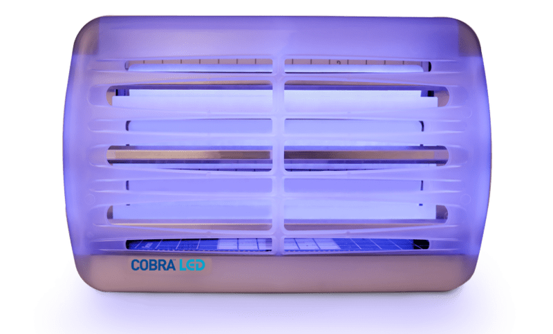 Fly Pest Control Services | Flies Extermination & Removal | Vergo