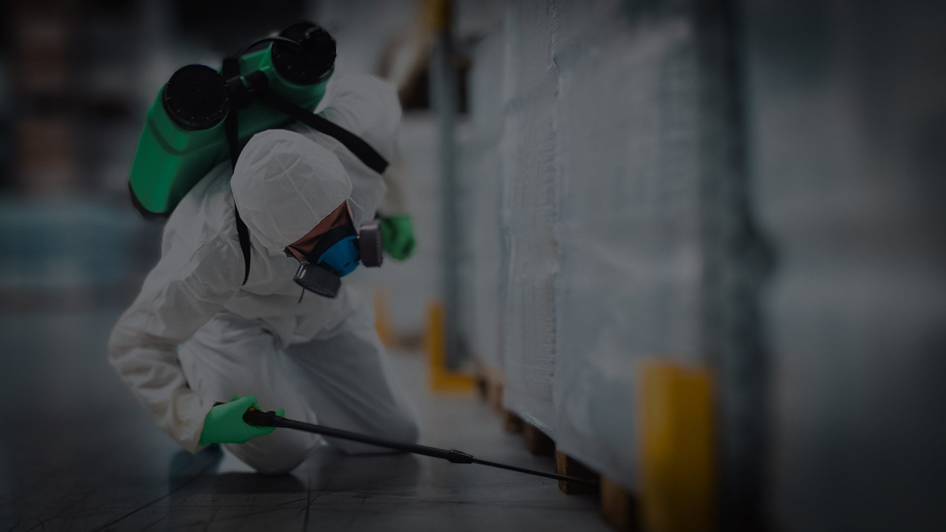 Commercial & Residential Pest Solutions | Vergo Pest Management