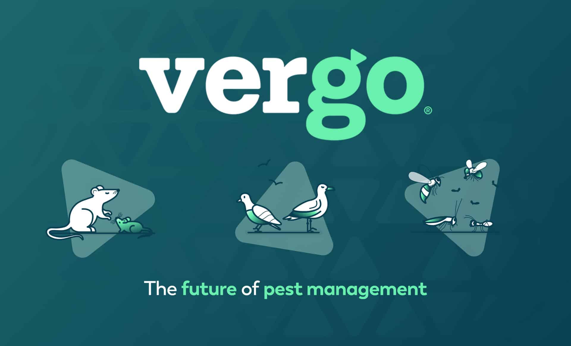 Why Choose Vergo for Professional Badger Removal? - Vergo - The future of pest management