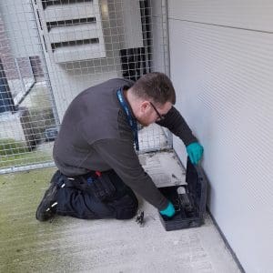 Commercial & Residential Pest Solutions | Vergo Pest Management