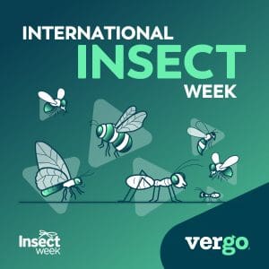 Vergo Pest Management: Expert Pest Control for Home & Business